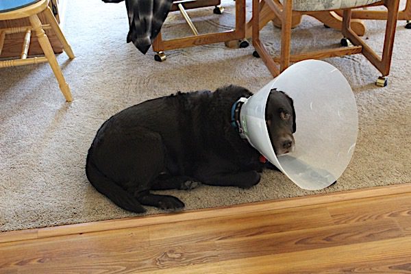 How To Inlay Stone Into Wood With Epoxy Resin - Resin Obsession