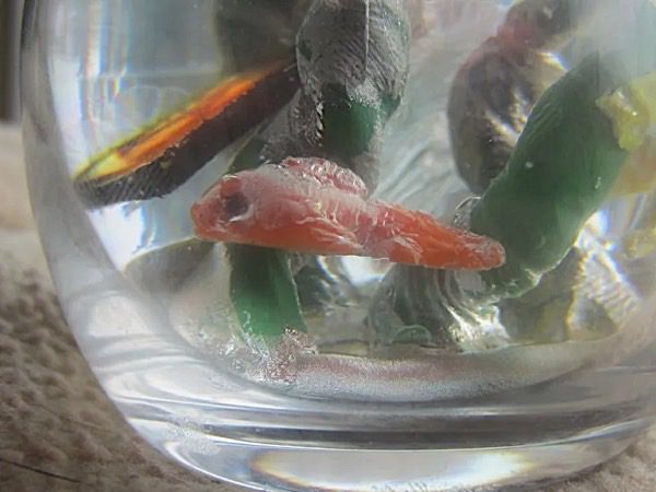 SOLVED: Why Your Resin Has Wrinkles - Resin Obsession